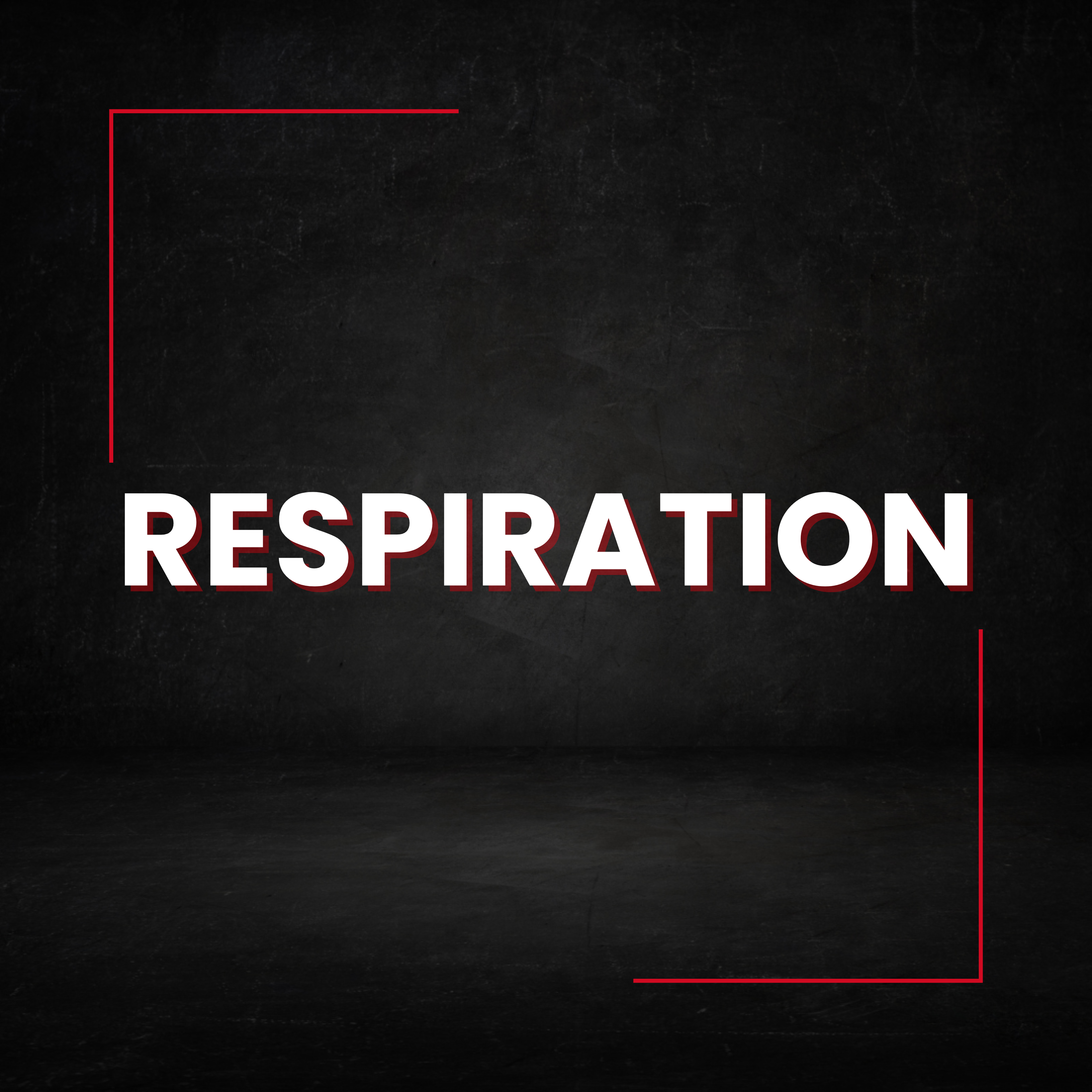 Respiration – Page 2 – 24Hr Safety